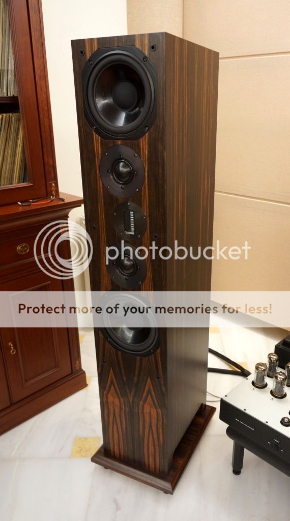 Ηχεία ProAc Response D80R | AVsite